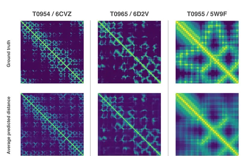 AlphaFold: Using AI for scientific discovery AlphaFold: Using AI for scientific discovery